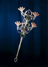 Robot Cicak Tokek | MajalahSains