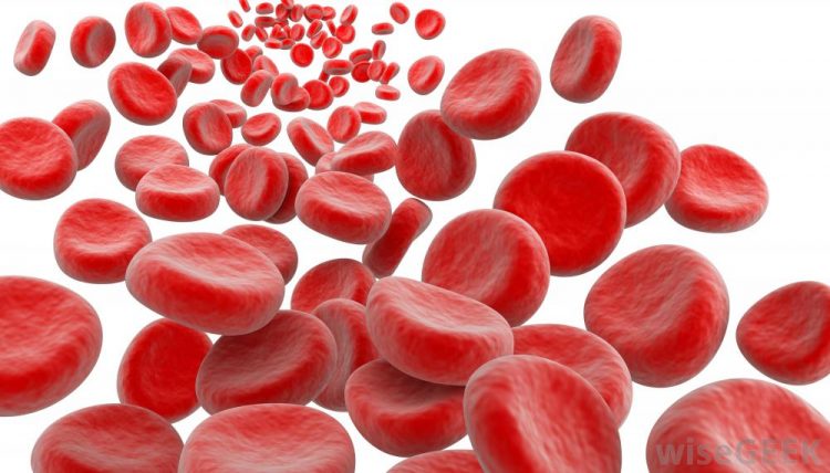 Mengenali Sel Darah Merah Pada Haiwan – MajalahSains
