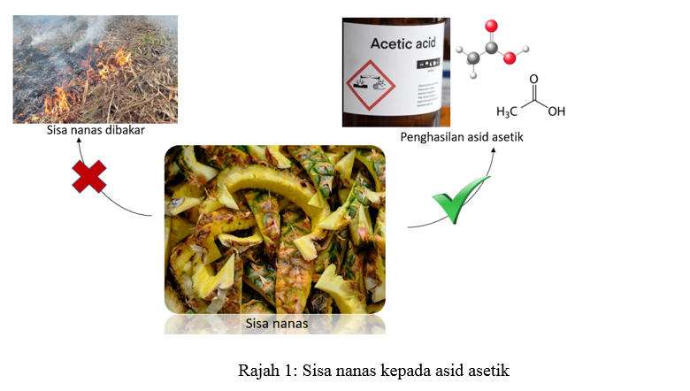 Transformasi Sisa Nanas kepada Produk Kimia Mesra Alam | MajalahSains